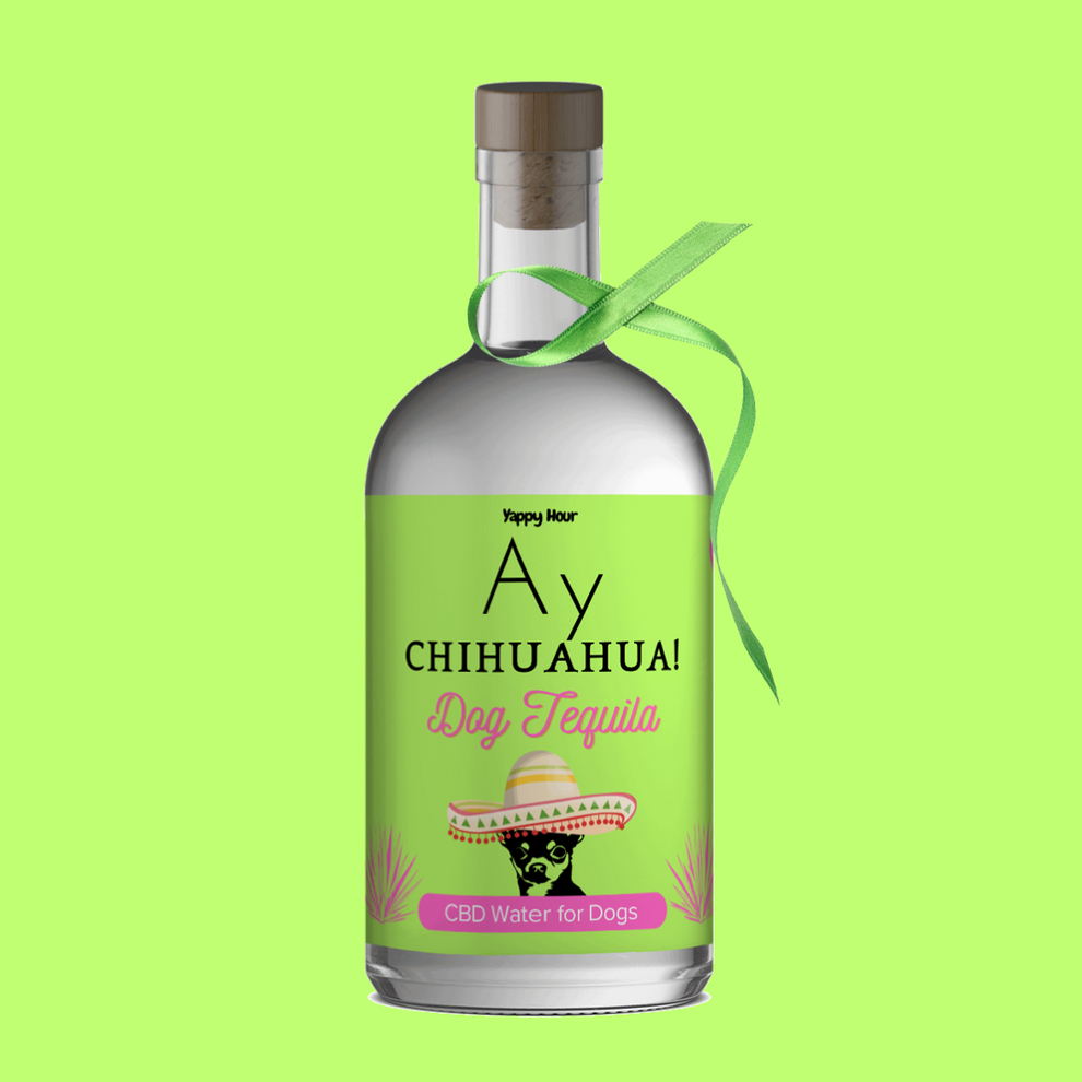 Ay Chihuahua! Dog Tequila | Doggy Drink – My Store