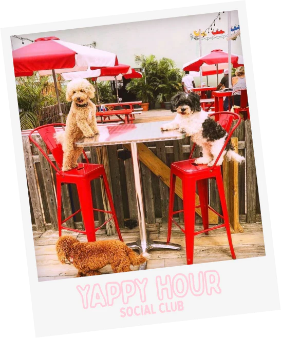 About us – My Store